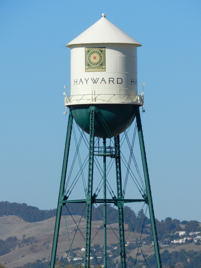 Hayward Finally Becomes a Sanctuary City - PublicCEO