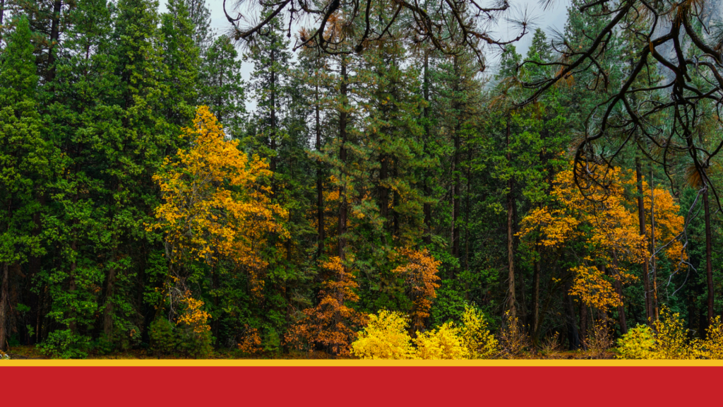 Merced City Council approves acceptance of $1.2 million in grant ...