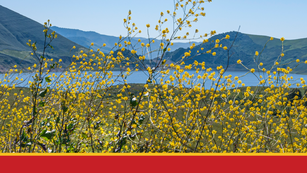 Santa Maria City Manager Jason Stilwell retires - PublicCEO