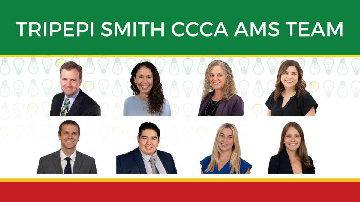 Team Tripepi Smith to attend the CCCA Annual Municipal Seminar - PublicCEO
